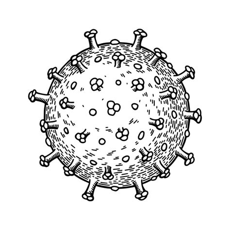 Hand Drawn Rotavirus Isolated On White Background Realistic Detailed