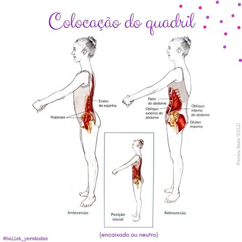 Basic Ballet Positions With Pictures Artofit