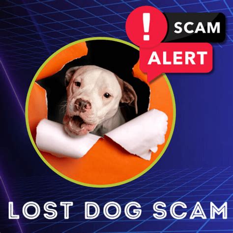 No Lost Pet Scam Montgomery County Police Reporter
