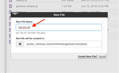 How To Create Custom Scroll Back To Top Button For Genesis Theme