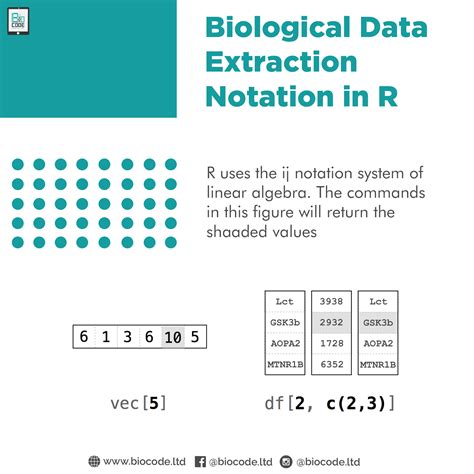 R Has A Unique System Of Notation That Lets You Extract Values From R Objects By Utilizing Rs
