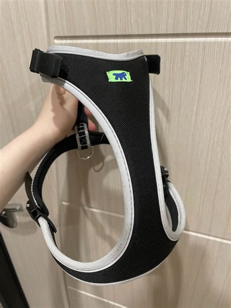 Шлейка Ferplast Ergocomfort P, размер M серый - «Отличная шлейка для ...