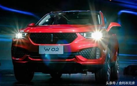 國產suv精品路線，長城汽車wey的logo來自這裏 每日頭條