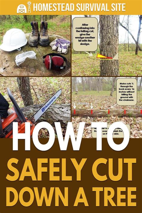 How To Safely Cut Down A Tree Artofit