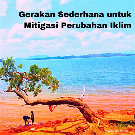 Gerakan Sederhana Muda Mudi Untuk Mitigasi Perubahan Iklim Diary