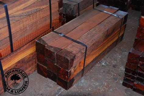 Cocobolo - JungleKey.fr Image