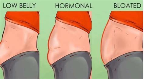 Here Are 4 Types Of Bellies What Is Yours And How To Get Rid Of It