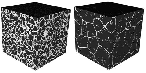 3d Phase Field Model Of Grain Growth Comparison Of Initial Condition