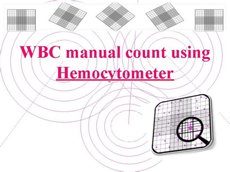 Wbc Manual Count Using Hemocytometer Introduction Cs B