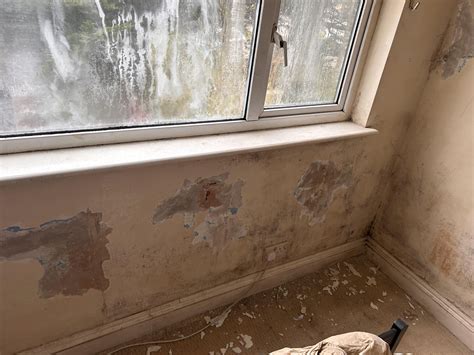 Pre Hrt Trans Goth Girl Doing Room Renovations Rtrans