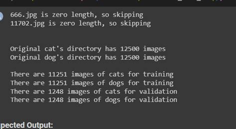 Is This The Right Output For Splitdata Convolutional Neural Networks