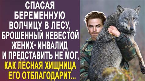 Спасая волчицу в лесу, брошенный невестой жених и представить не мог ...