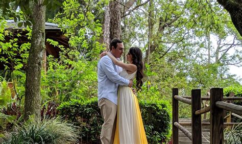 Stephanie Grillo And Steven Kaufmans Wedding Website
