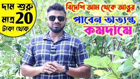 অত্যন্ত কমদামে চাকলার এই নার্সারিতে পাবেন বিদেশি আম থেকে আঙুর ও