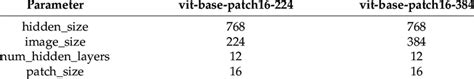 Training Parameters For Vit Base Patch16 224 And Vit Base Patch16 384