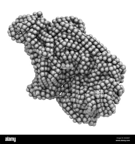 Polymethylene Cut Out Stock Images And Pictures Alamy