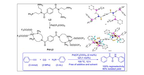 Synthesis Of Bis P N P Hybrid Ligands And Application To Pd Catalyzed