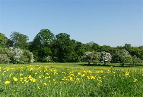Gedling House Meadows 10 Alan Murray Rust Geograph Britain And