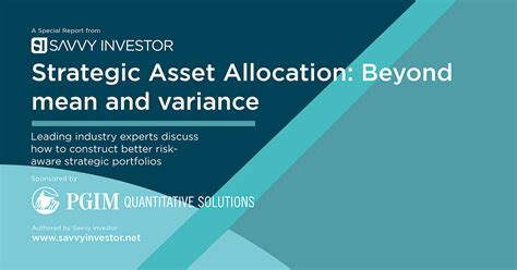 Strategic Asset Allocation Beyond Mean And Variance Special Report 2021 Savvy Investor