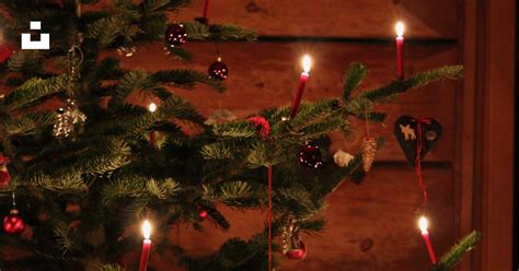 촛불이 켜진 크리스마스 트리 사진 Unsplash의 무료 크리스마스 이미지