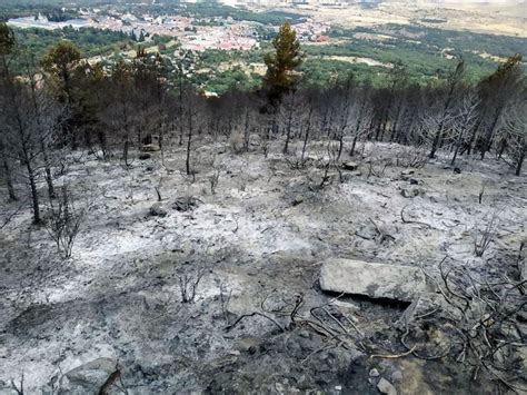 El Gobierno destina euros para la recuperación del terreno tras