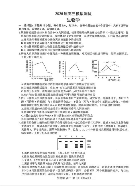 生物试卷 江西省南昌市2025届高三下学期第一次模拟模拟测试 笔杆试卷