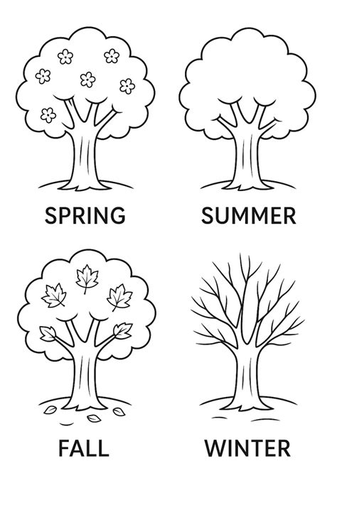 Дървета Архиви Zumipic