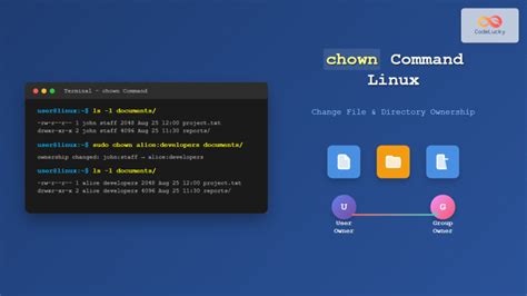 Chown Command Linux Master File And Directory Ownership Management