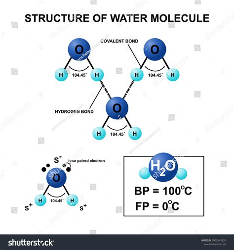 Structure Water Moleculeiconchemical Formulamodel Isolated On เวกเตอร์