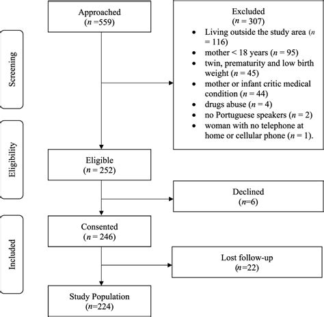 Figure 1 From Risk Factors For Delayed Onset Of Lactogenesis Ii Among
