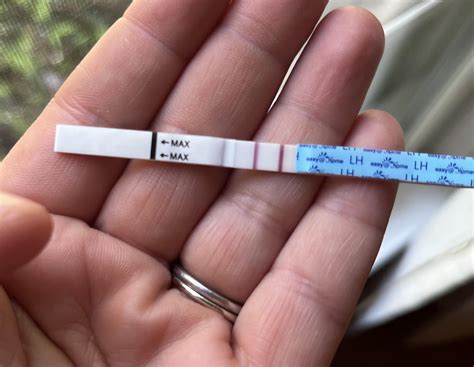 Does This Look Like Ovulation May Be Coming Soon R Tryingtoconceive