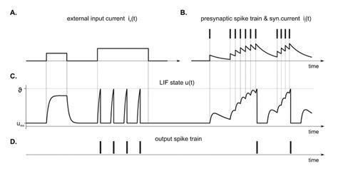 Snn Dynamics Simulated With The Lif Model A And B Show External And Download Scientific