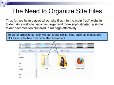 Site Organization Ppt Download