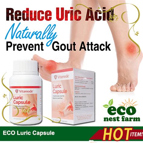 Gout Supplement Vitamode Luric Capsule Gout Uric Acid Shopee Malaysia