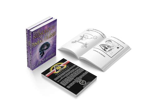 The Nunology Of The Pineal Gland Nun Technologies