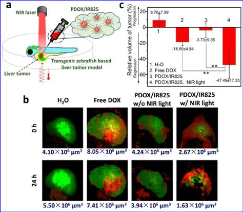 In Vivo Antitumor Activity On Solid Tumors Using Transgenic Zebrafish