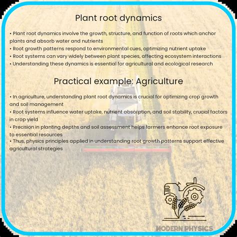 Plant Root Dynamics Growth Nutrition And Soil Health