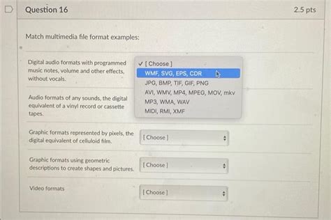 Solved Match Multimedia File Format Examples Digital Audio Chegg