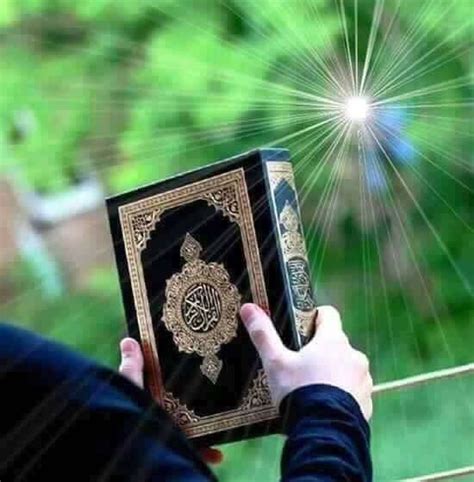 را شه اوګوره او لږ څه زده کړه