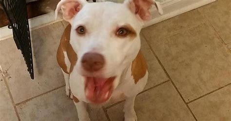 Red Nose Monday Imgur