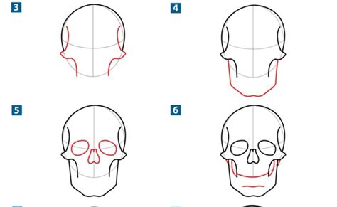 How To Draw Skulls And Face Anatomy Rainy Weathers