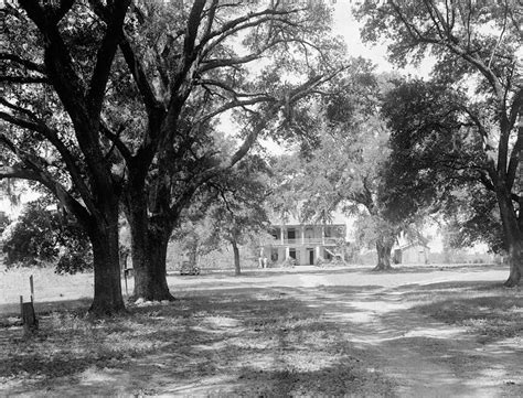 Louisiana Pictures 1 Live Oak Plantation House Weyanoke Louisiana