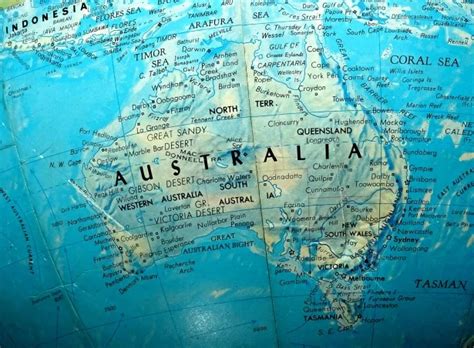 Where Do Koalas Live Map
