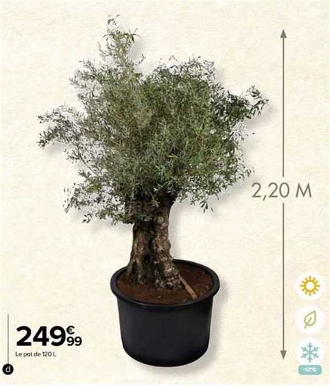Promo Le Pot De 120 L Chez Carrefour ICatalogue Fr