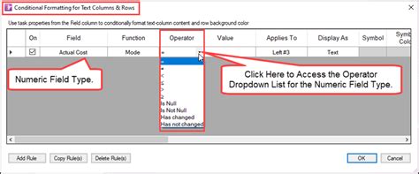 conditional formatting rules for text columns and rows for onepager for