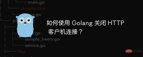 如何使用 Golang 關閉 用戶端連線？ Golang Php中文網