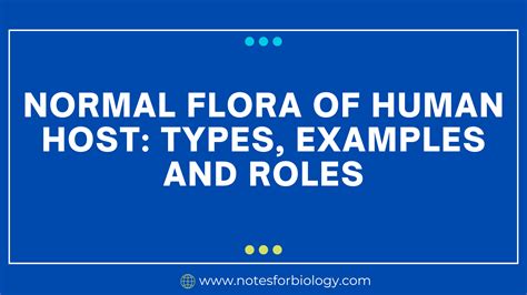 Normal Flora Of Human Host Types Examples And Roles