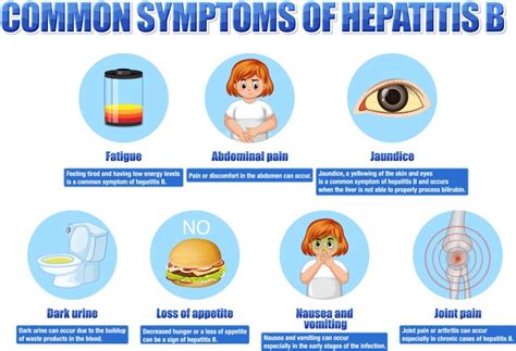 Hepatitis B Vector Images Within Science 90