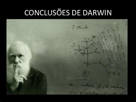 Evolução Lei Do Uso E Desuso