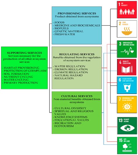 Mainstreaming Ecosystem Services From Indonesias Remaining Forests